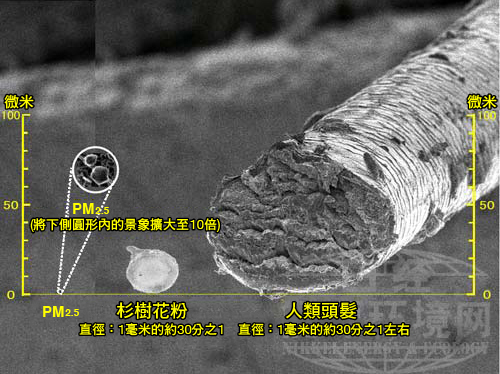 PM2.5為什麼會威脅我們的健康？ - StockFeel 股感