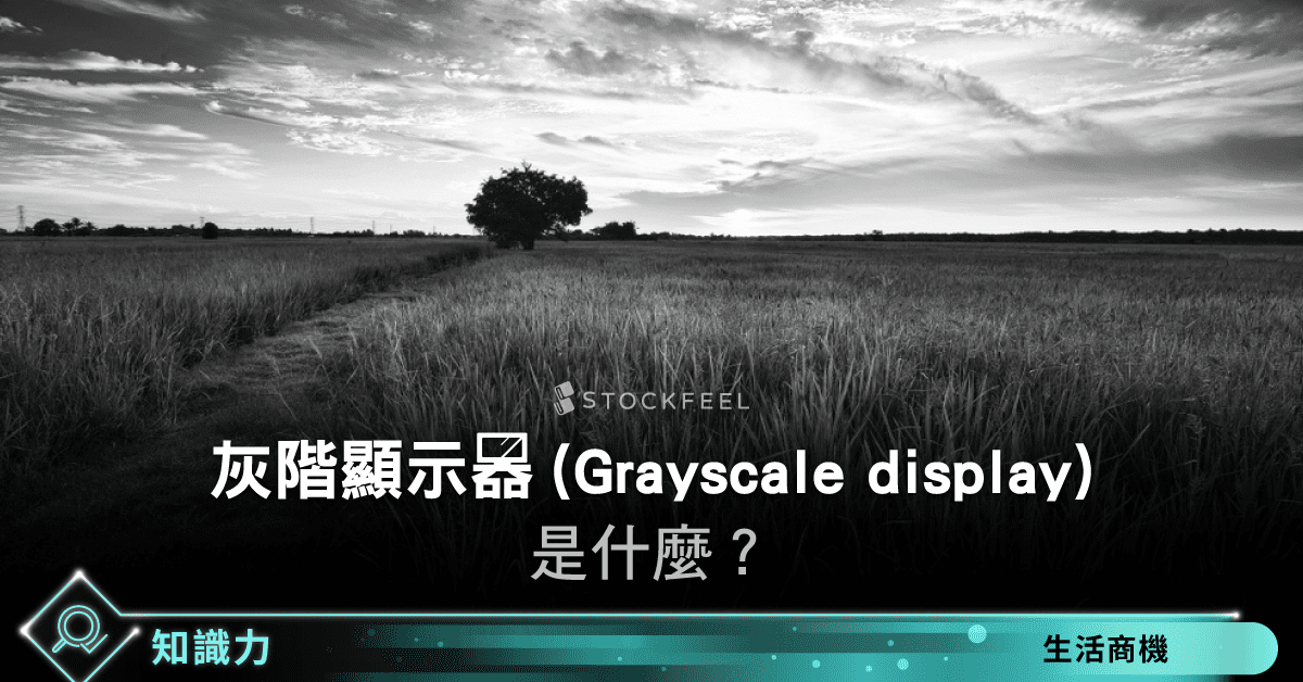 灰階顯示器（Grayscale display）是什麼？ - StockFeel 股感